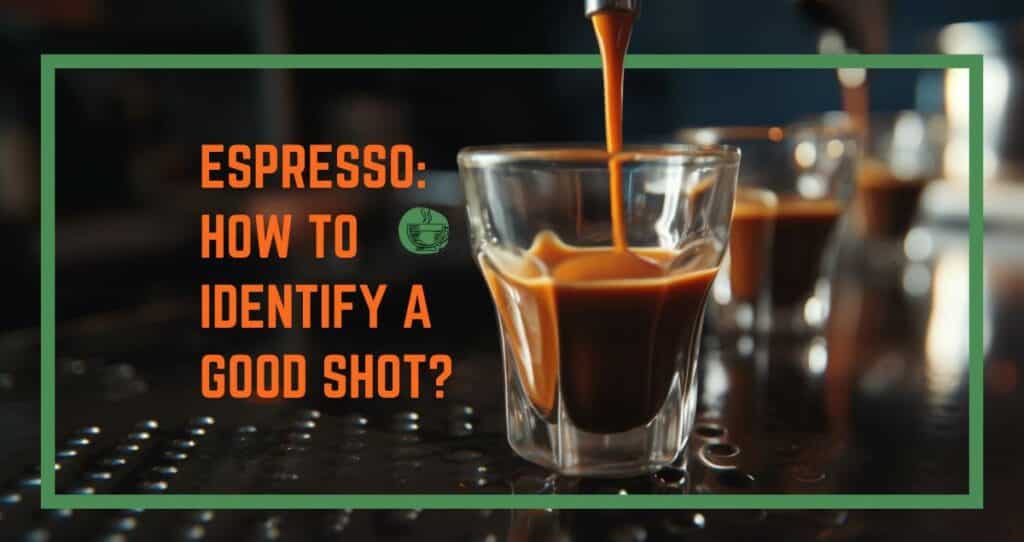 Espresso: How to Identify a Good Shot? » My Espresso Machine